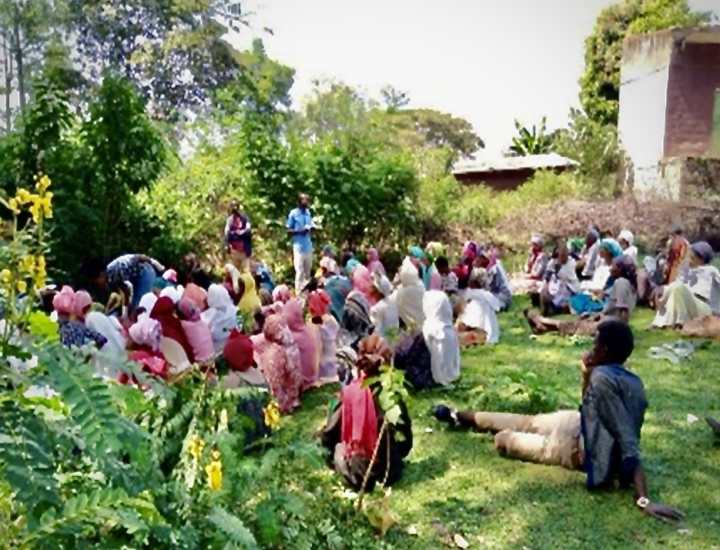 Coffee kicks off big inclusion shift in Ethiopia | CBM Australia