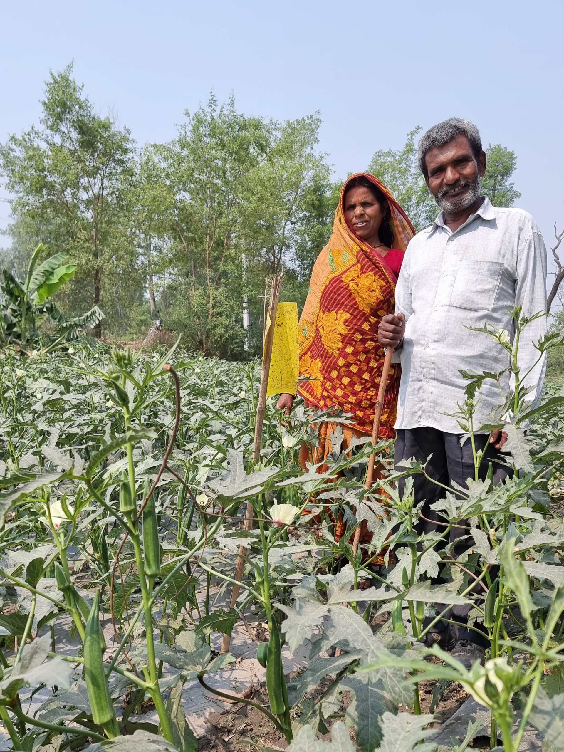 Magic mulch: growing vegetables in Nepal | CBM Australia